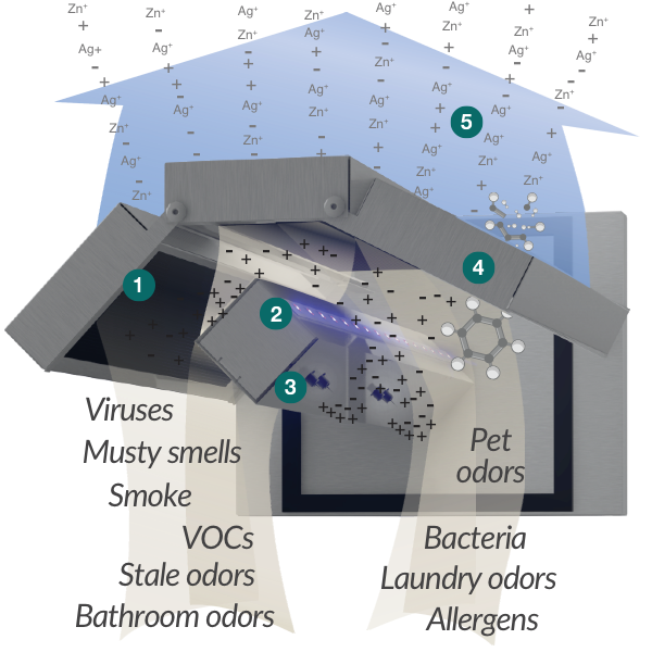 Solaris® Indoor Air Quality Products - Bring cleaner air to your life.™